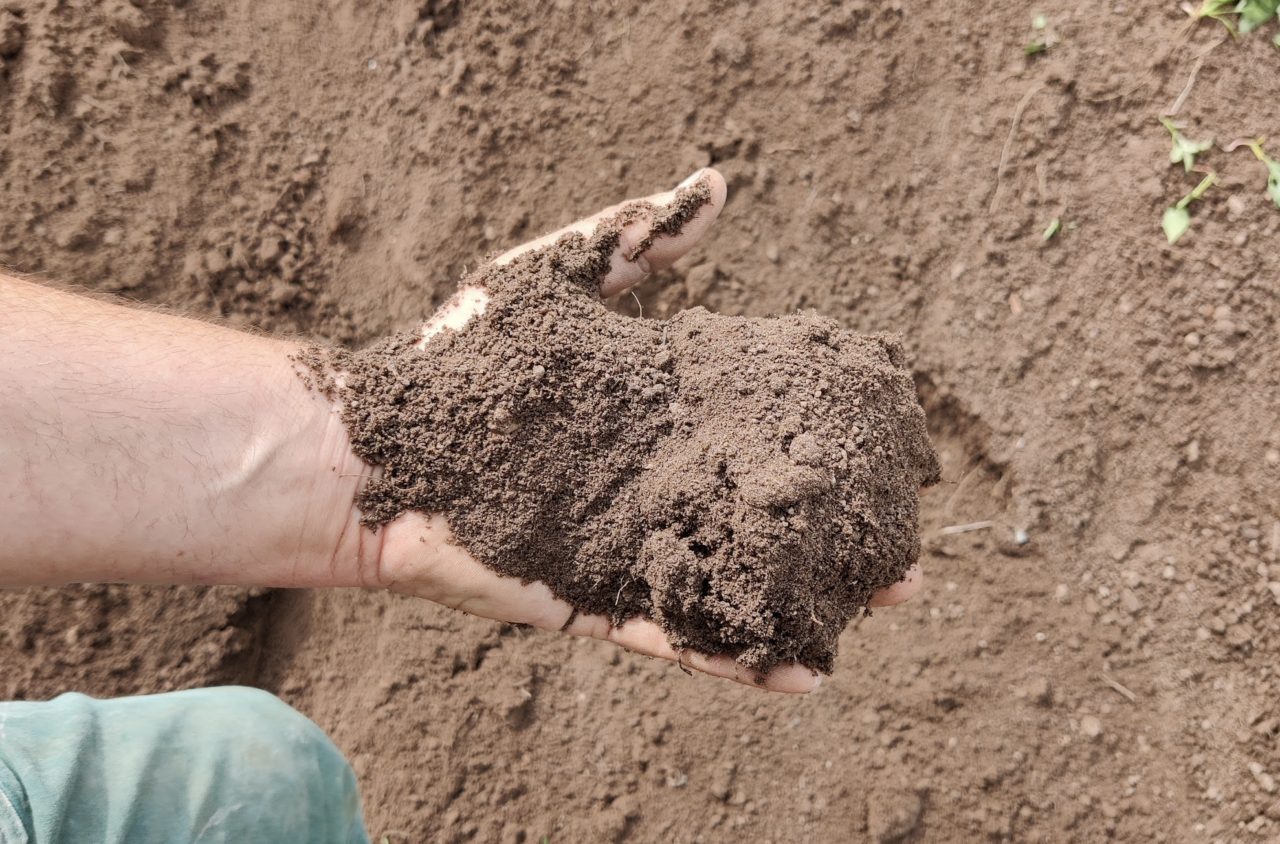 Harpet muldjord fra Stenlille Grusgrav - lige til at slå rødder i